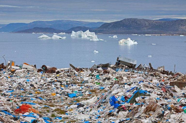 Continent de plastique : l'histoire d'un désastre écologique ...